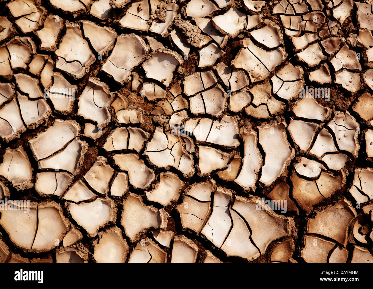 The earth cracks once the scorching sun comes up after the rain in ...