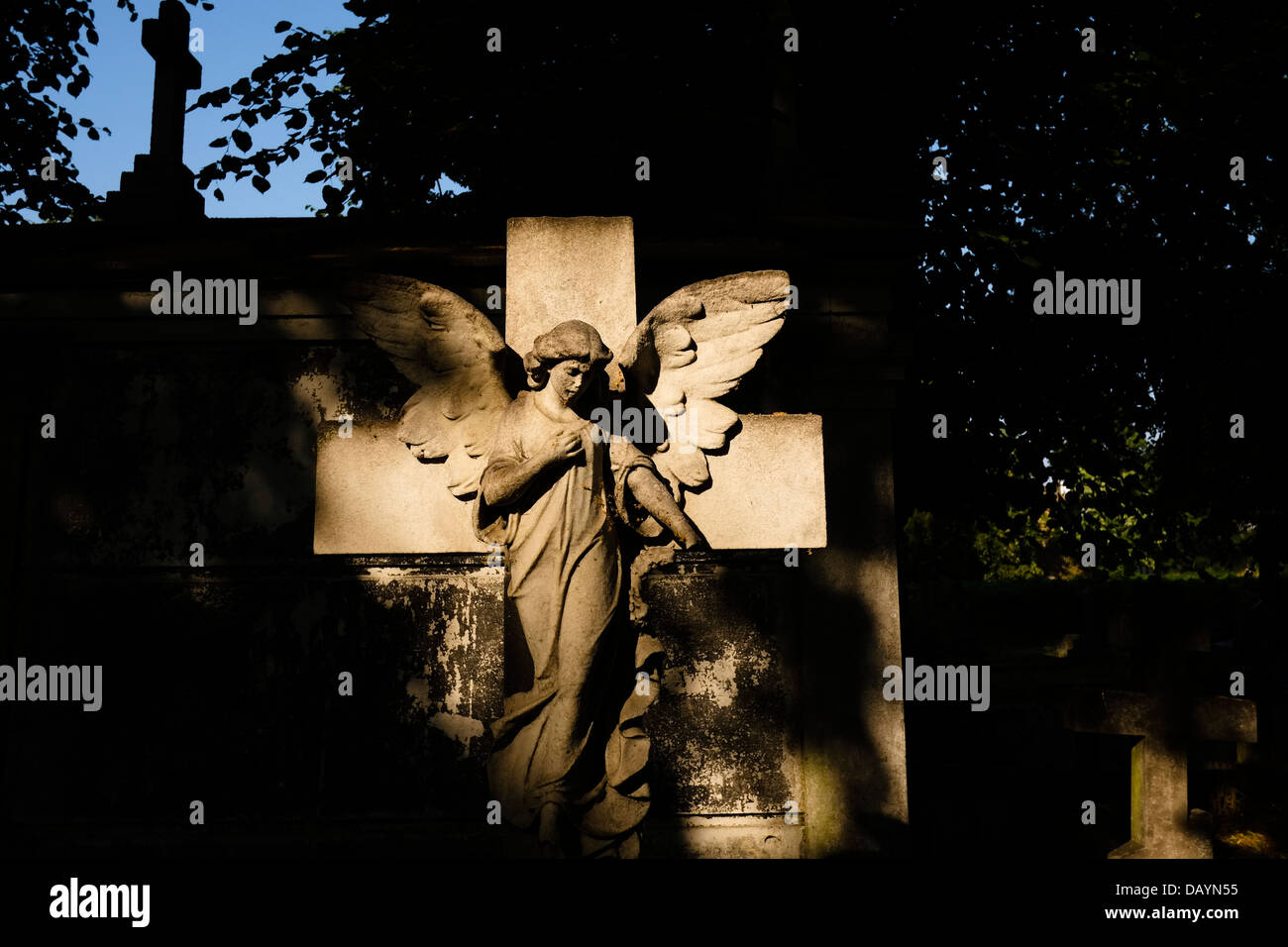 Angel in Shadow Stock Photo - Alamy