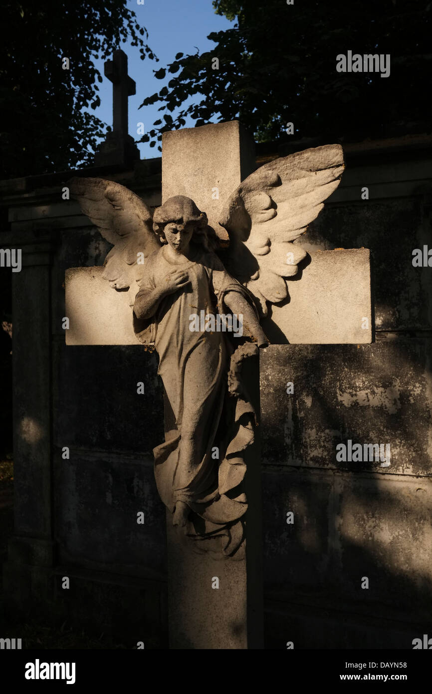 Angel in Shadow Stock Photo - Alamy