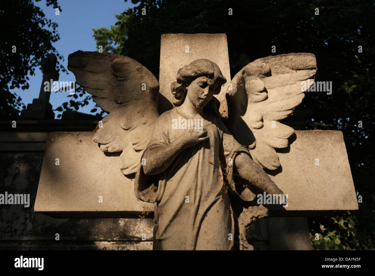 Angel in Shadow Stock Photo - Alamy