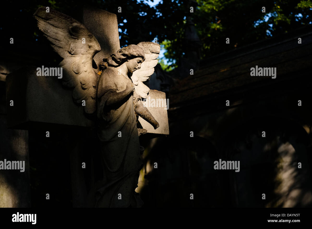 Angel in Shadow Stock Photo - Alamy
