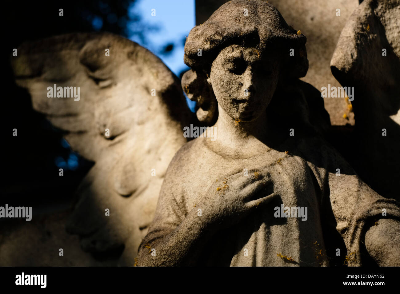 Angel in Shadow Stock Photo - Alamy