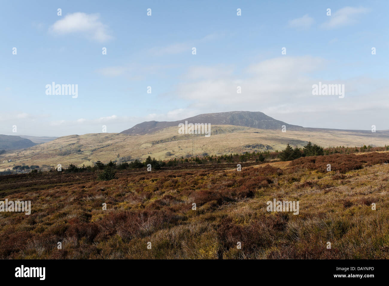 Arenig fach hi-res stock photography and images - Alamy