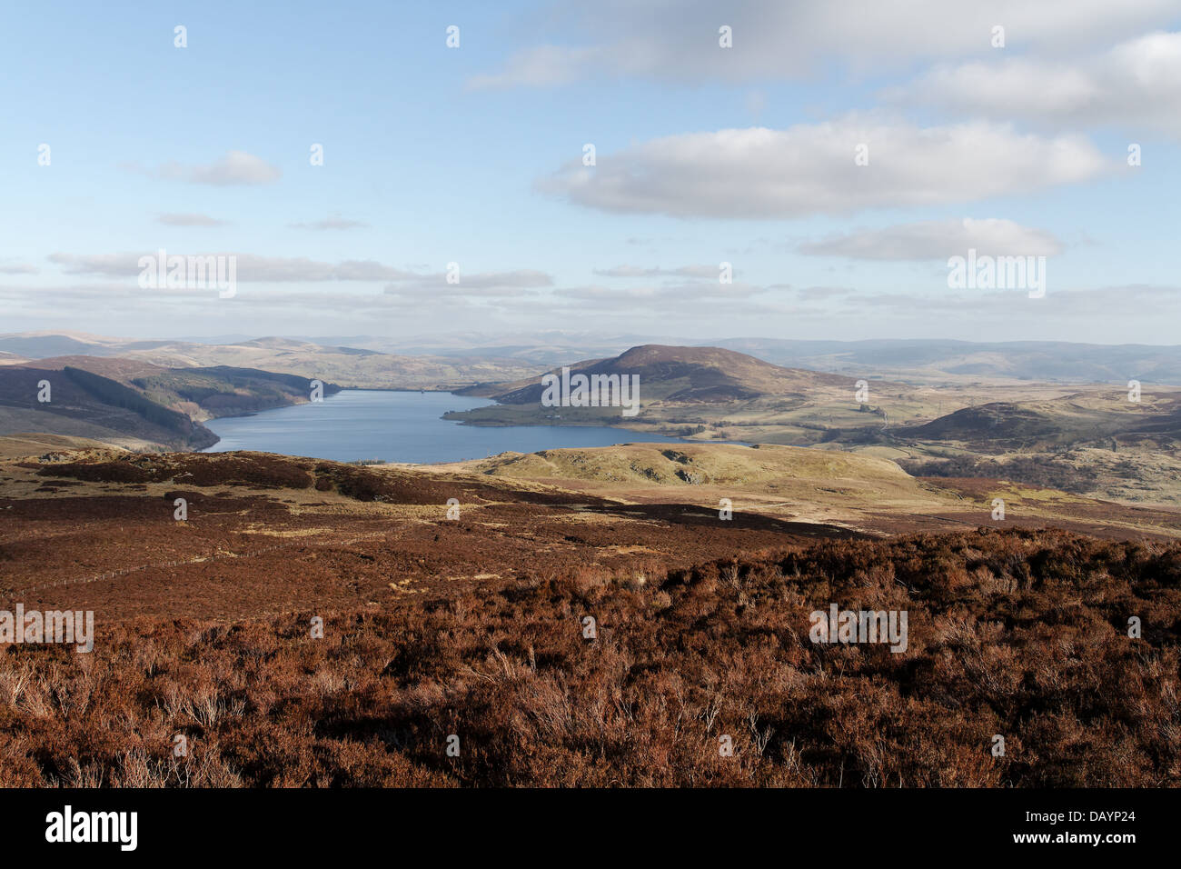 Llyn celyn hi-res stock photography and images - Alamy