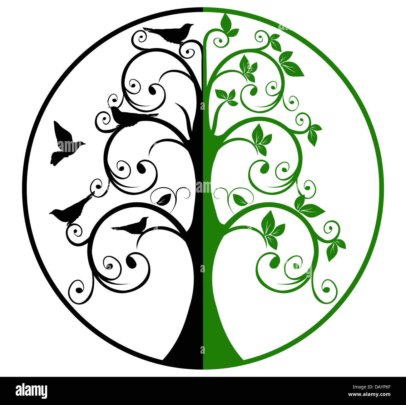 Life and death tree hi-res stock photography and images - Alamy