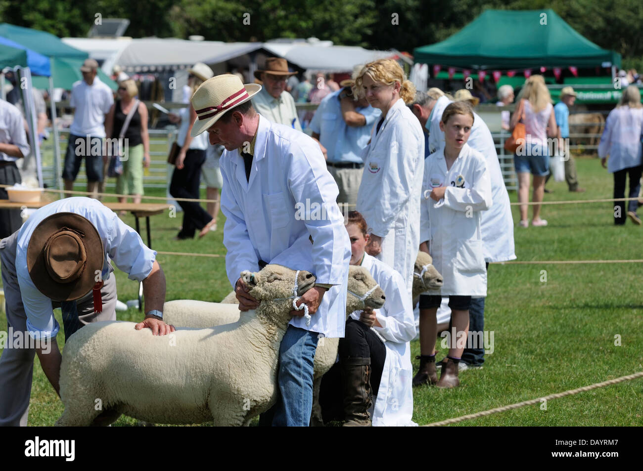 Young man holding lamb hi-res stock photography and images - Alamy