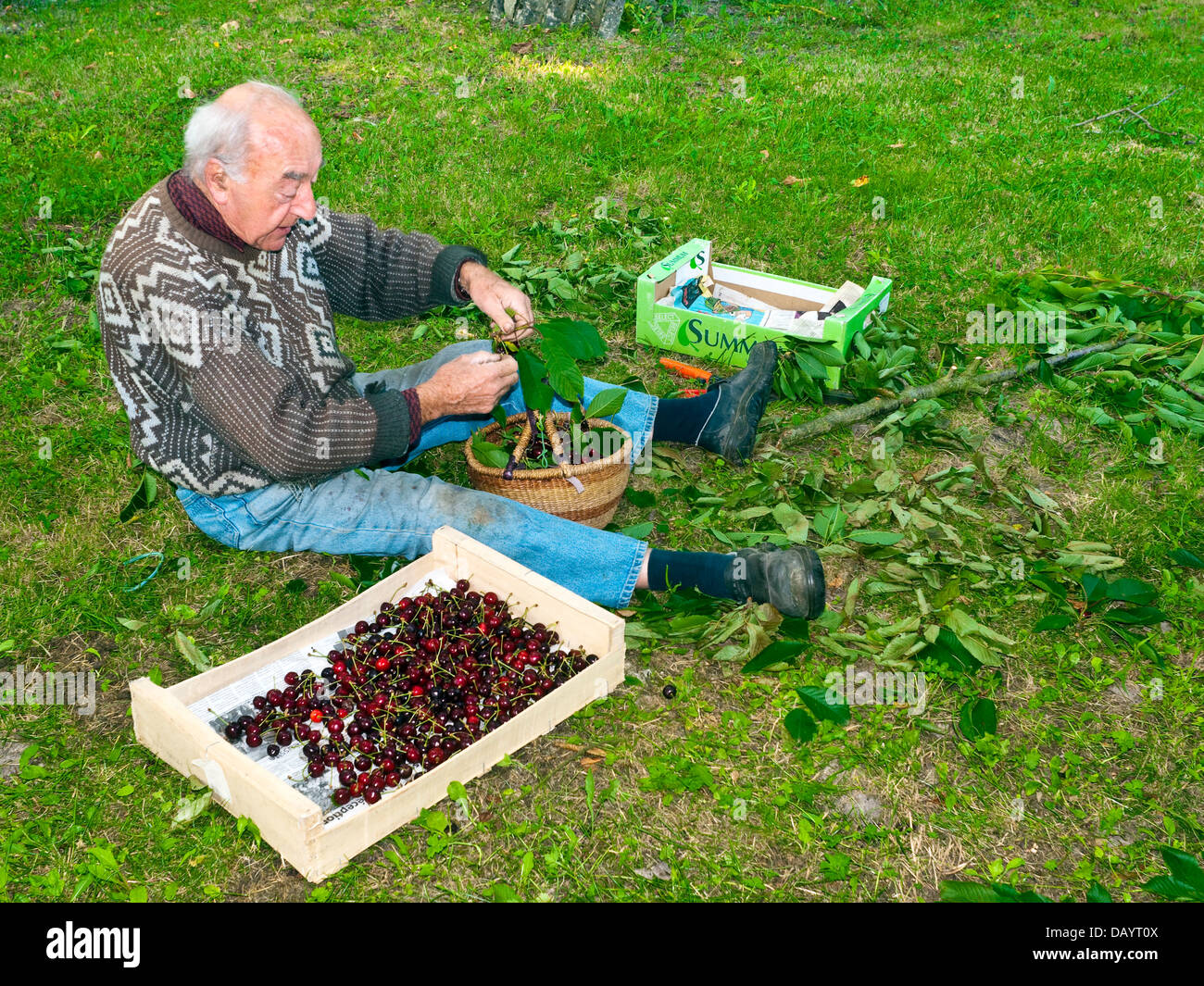Elderly man male hi-res stock photography and images - Alamy