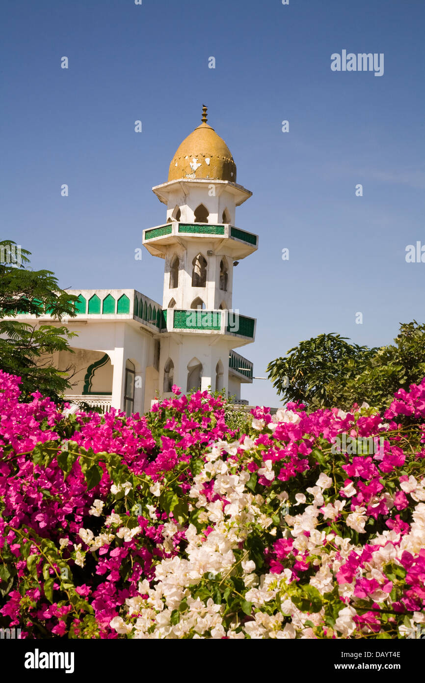 Prophet Job High Resolution Stock Photography and Images - Alamy