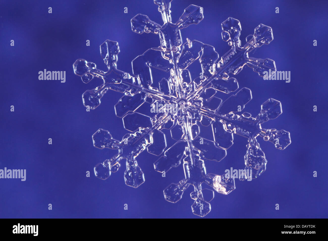 Snowflake hi-res stock photography and images - Alamy