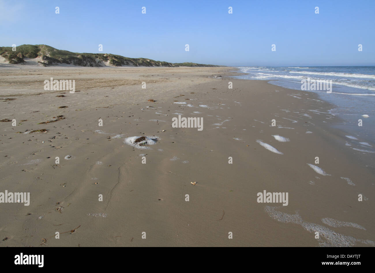 Wide, sandy beach at Blokhus, Denmark Stock Photo - Alamy