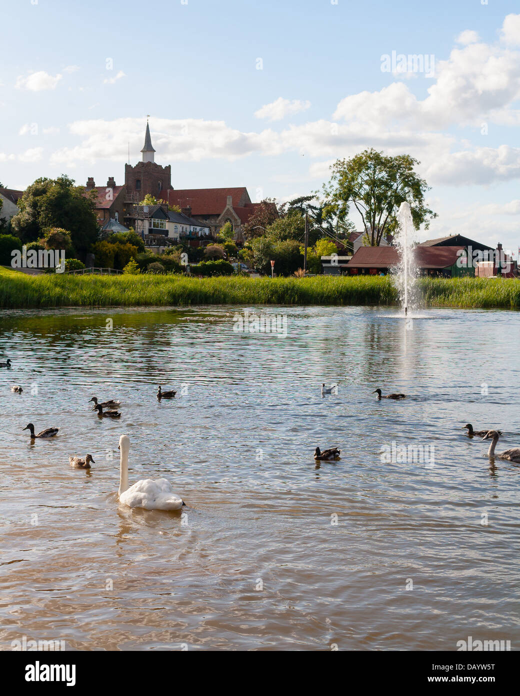 Essex landscape hi-res stock photography and images - Alamy