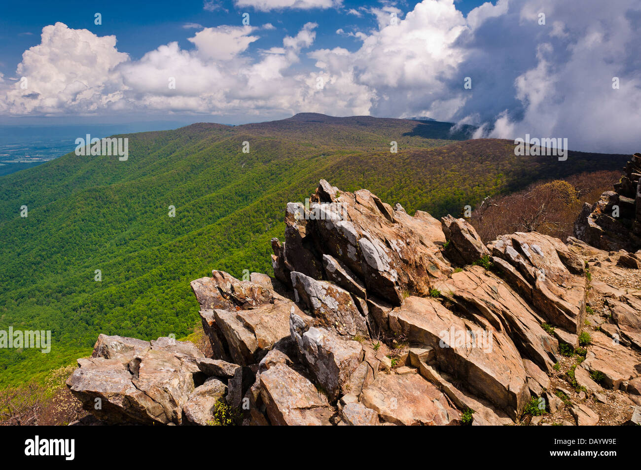 Early spring view of the Blue Ridge Mountains from Hawksbill Summit ...