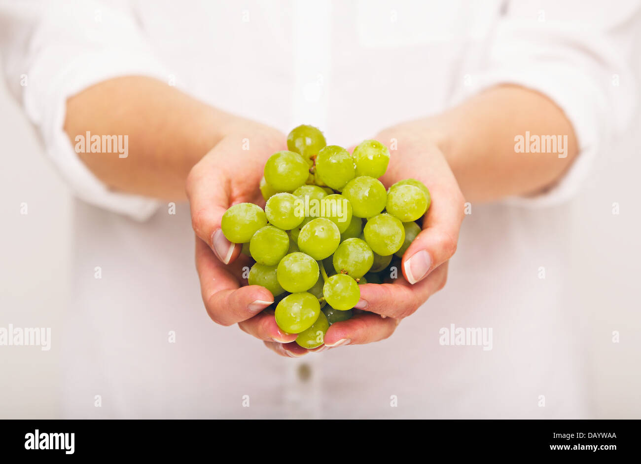 Freshly picked green grapes from the vineyard in woman's hands Stock ...