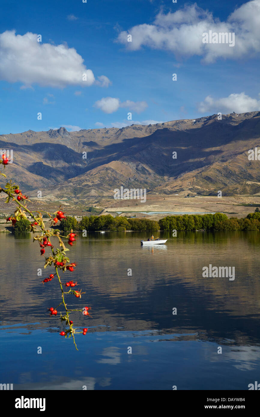 Lake Dunstan, Pisa Range, and people in boat fishing, Central Otago ...