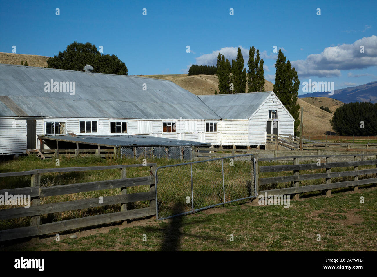 Shearing shed, Tarras, Central Otago, South Island, New Zealand Stock ...