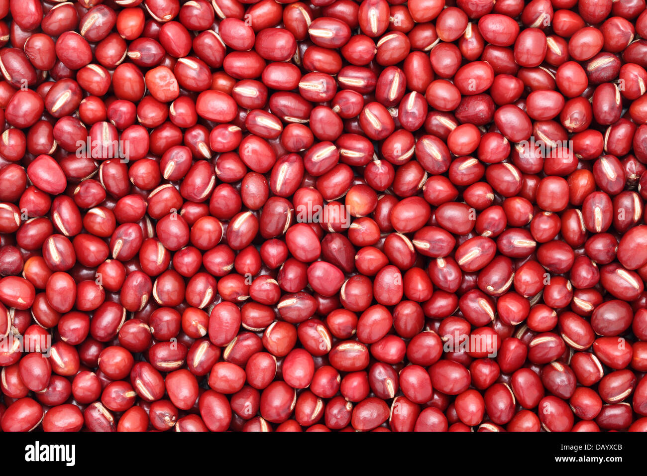 close up of red beans texture background Stock Photo - Alamy