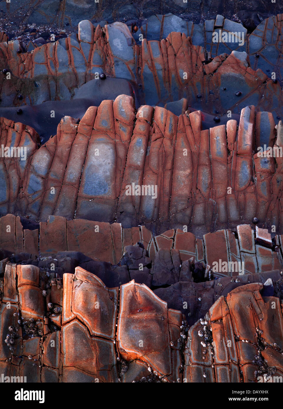 Shale abstract details on the Southern California Coast Stock Photo - Alamy