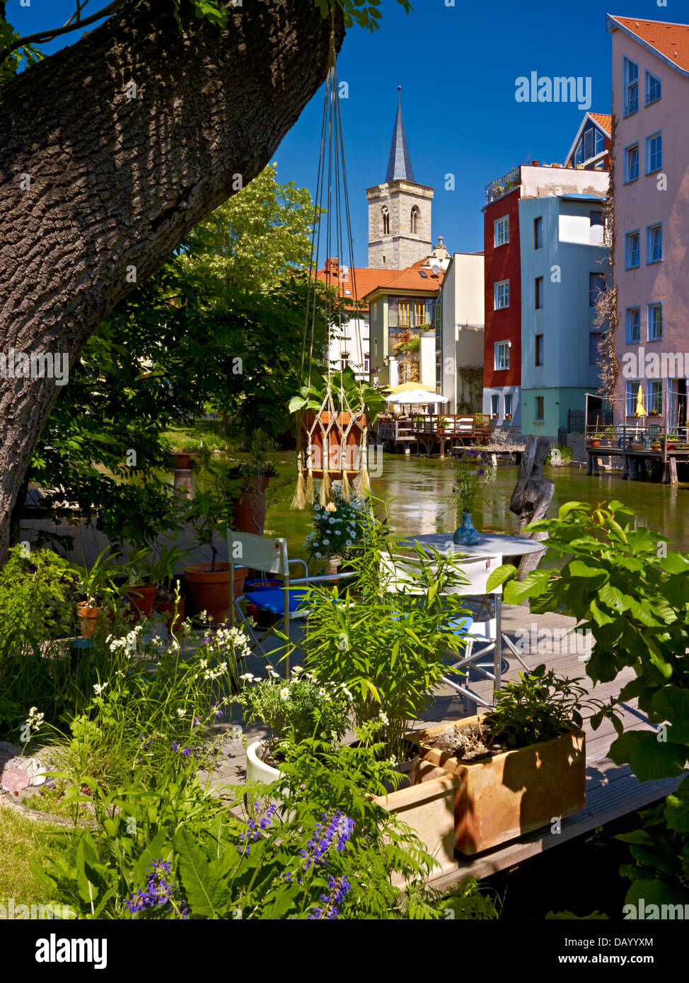 Houses on the Gera river with St. Aegidien church, Erfurt, Thuringia ...