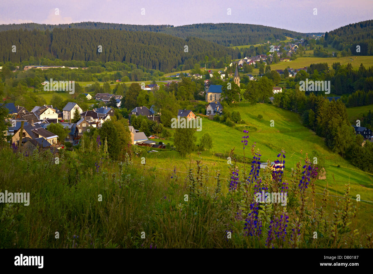 Scheibe-Alsbach with church, Thuringian Forest, Thuringia, Germany ...