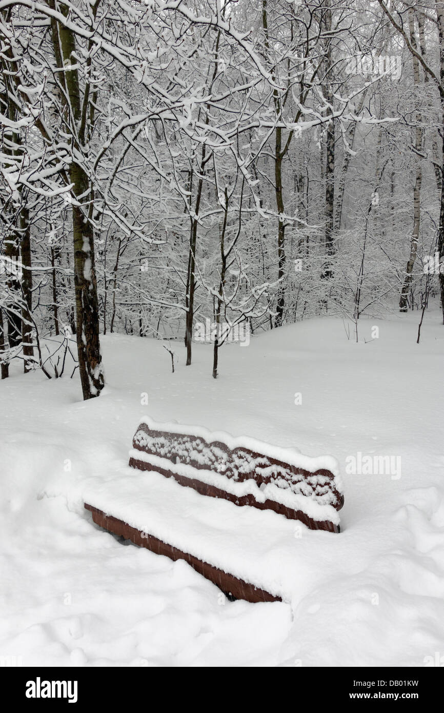 Bench covered deep in snow after a heavy snowfall. Bitsevski Park ...