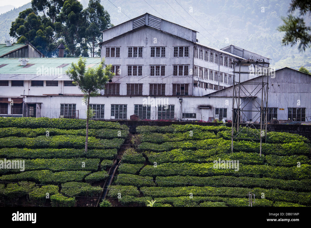 British colonial india tea hi-res stock photography and images - Alamy