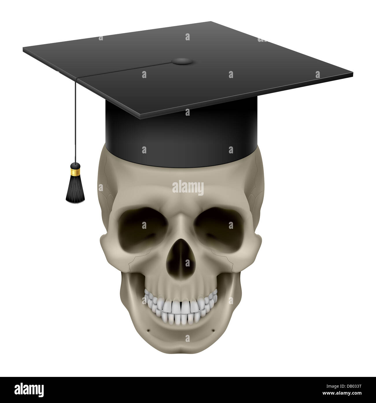Skull with Cap Graduate. Illustration on white background Stock Photo ...