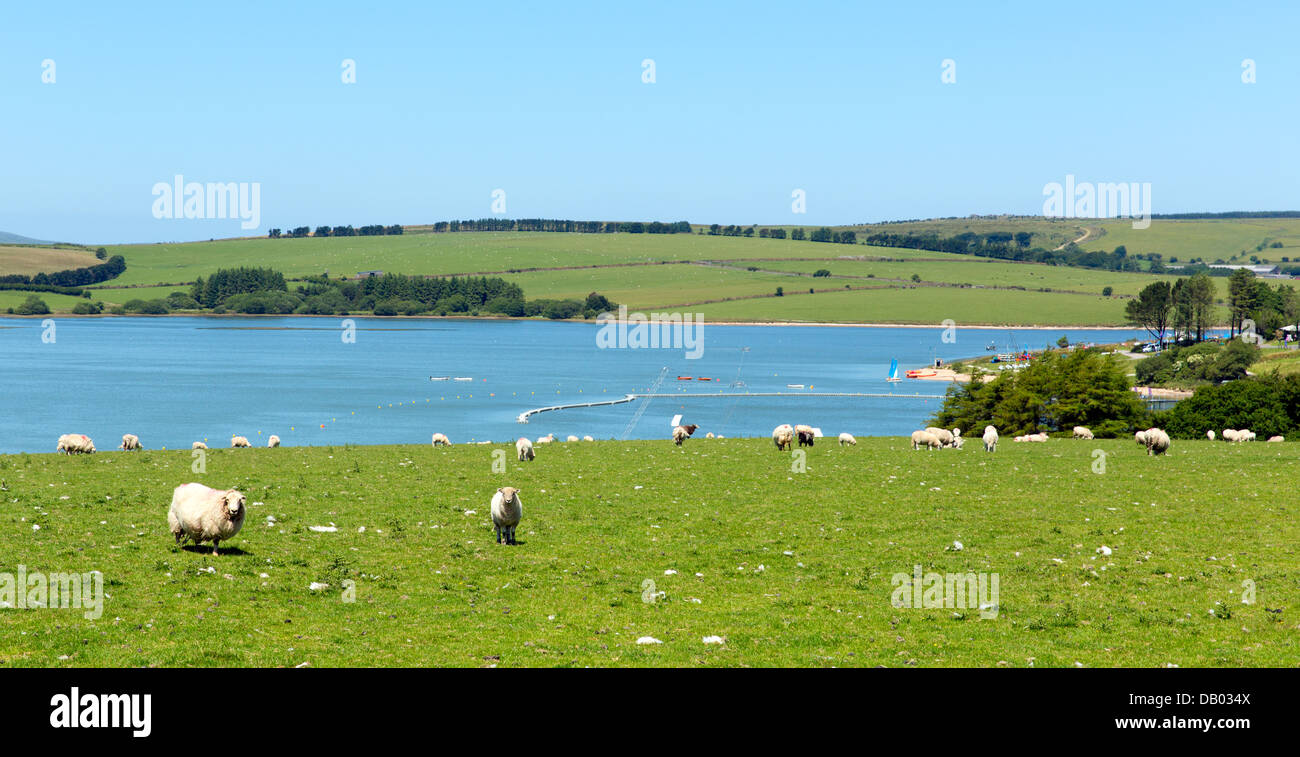 Siblyback Lake near Liskeard Bodmin Moor Cornwall England UK where ...