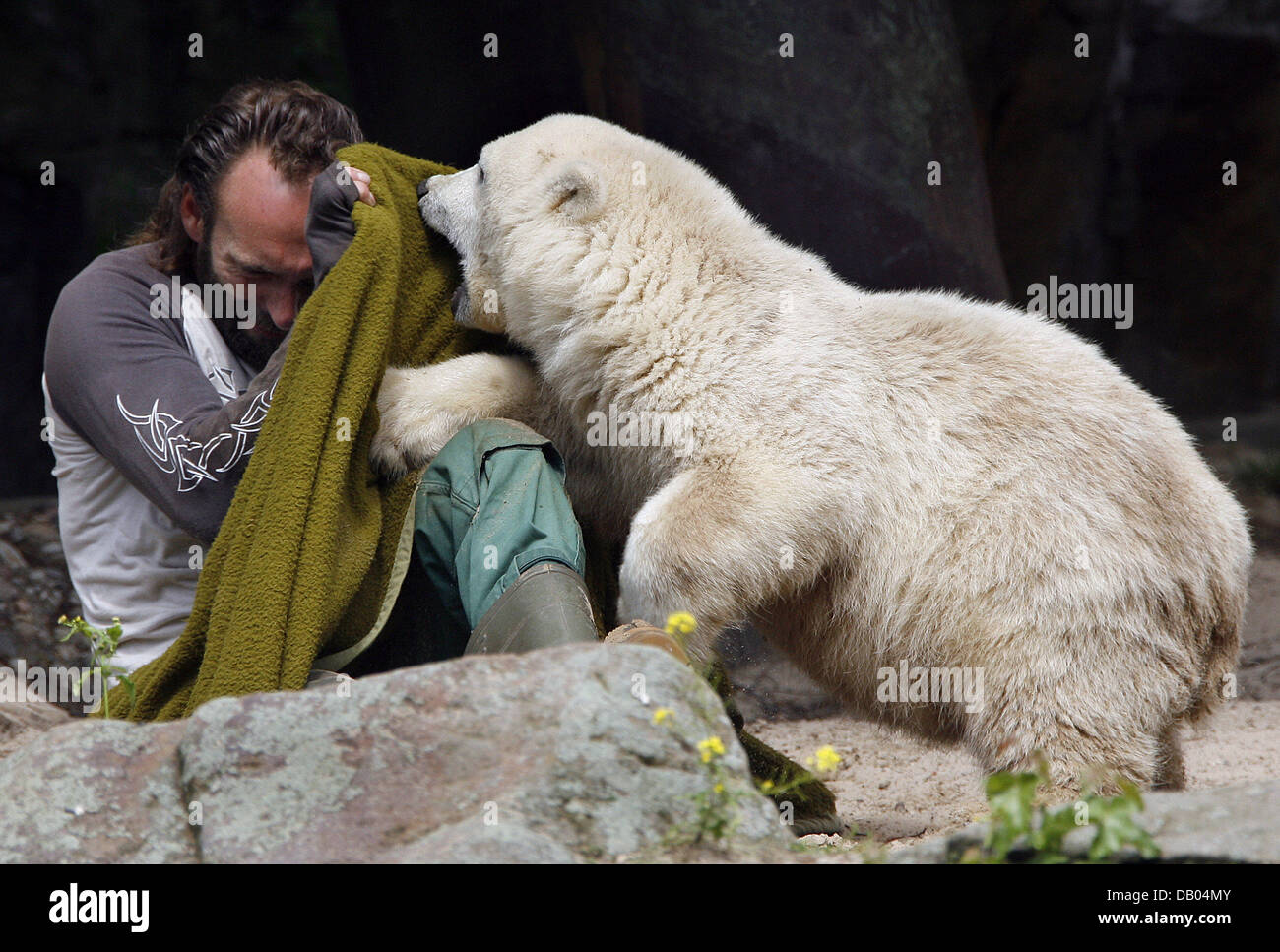 Knut the polar bear cub hi-res stock photography and images - Alamy