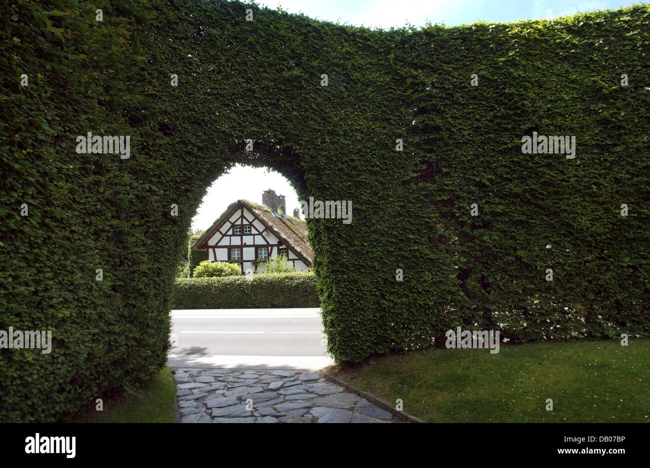 Windbreak hedges hi-res stock photography and images - Alamy