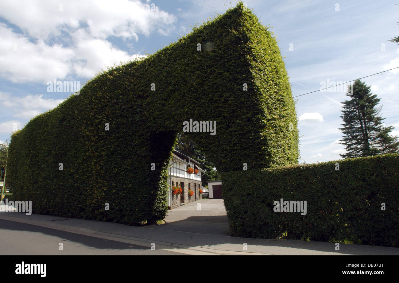 Windbreak hedges hi-res stock photography and images - Alamy
