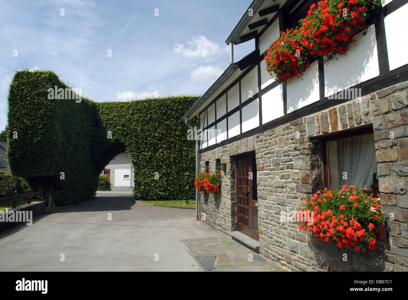The picture shows windbreak hedges in Monschau, Germany, 08 July 2007 ...