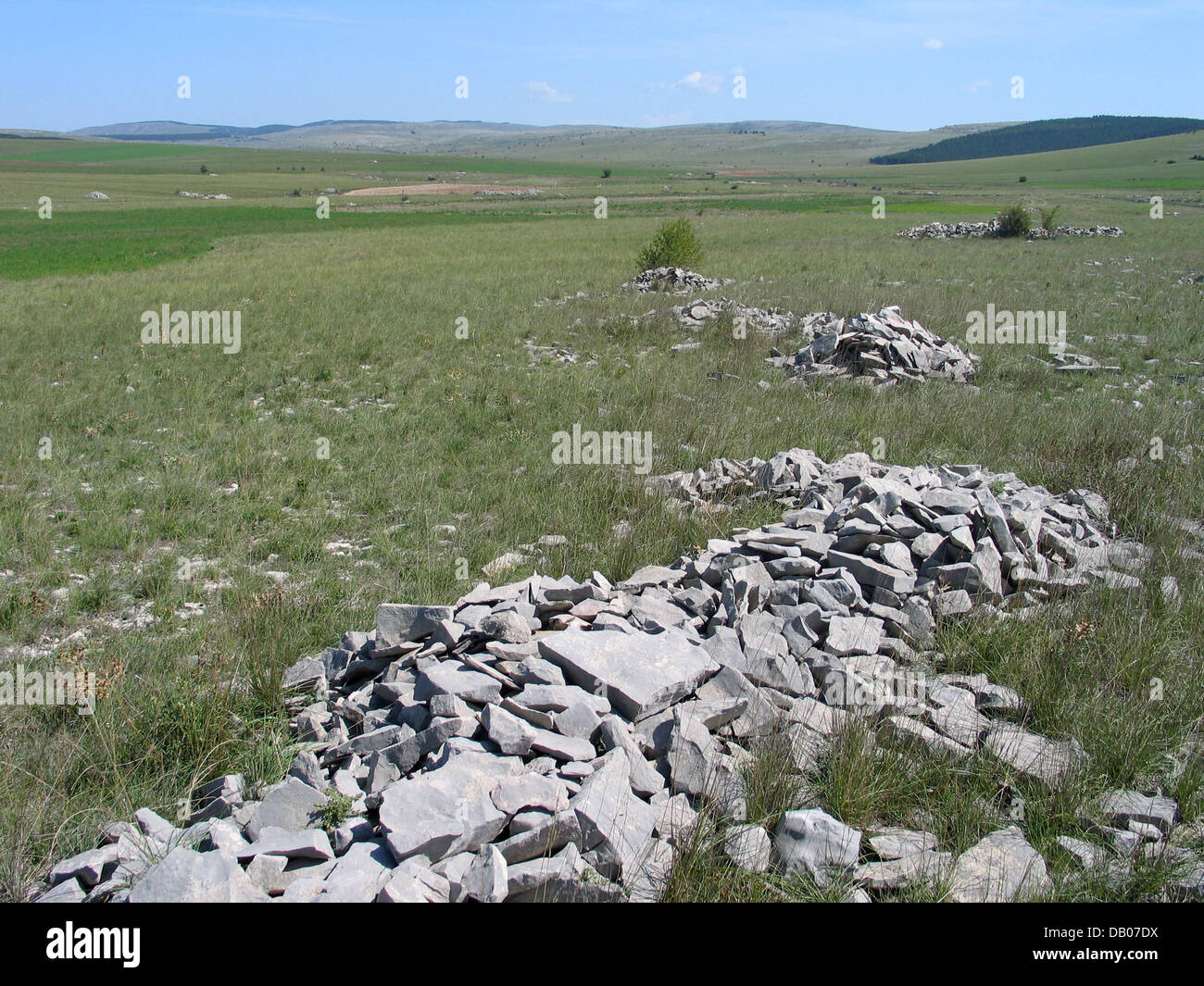 The picture shows the Causse Mejean, the largest and tallest of the ...