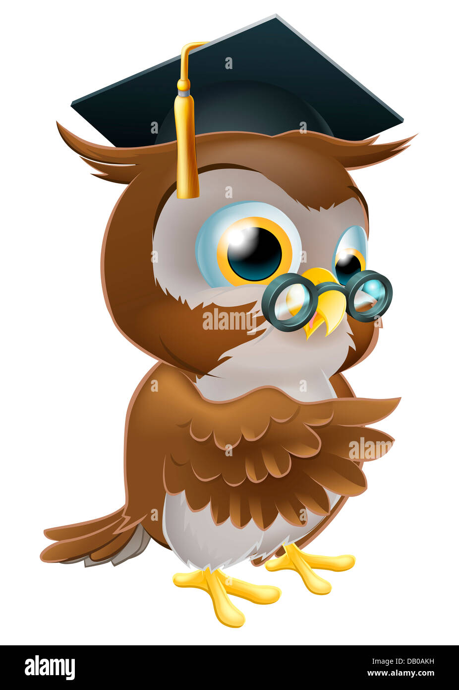 Owl wearing graduation cap hi-res stock photography and images - Alamy