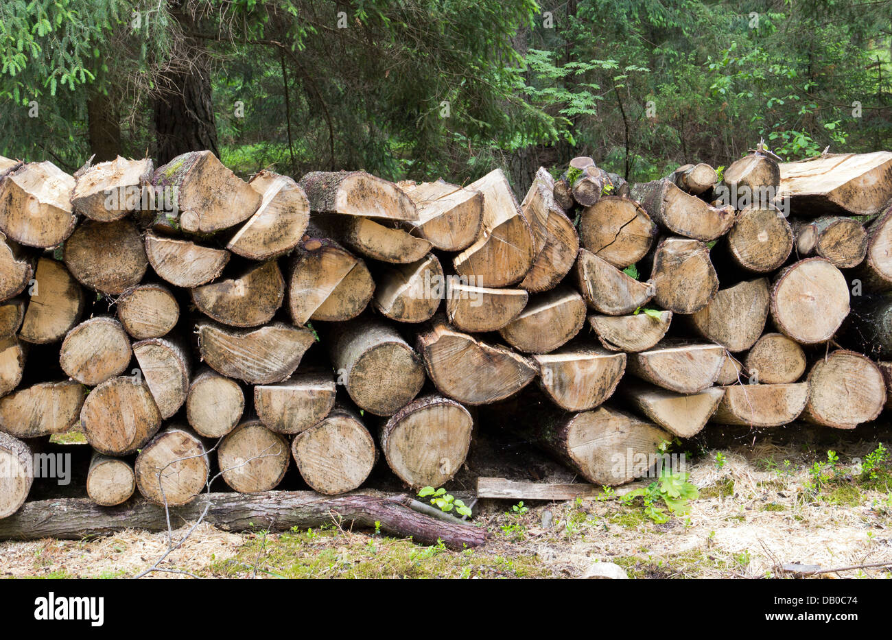 Pile of wood logs ready for winter Stock Photo - Alamy
