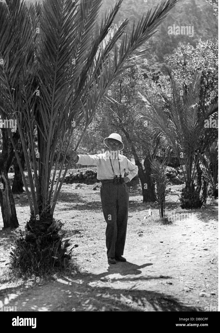 Smiling palm tree Black and White Stock Photos & Images - Alamy