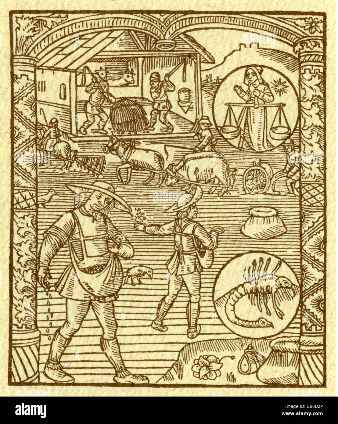calendarium / calendars, labours of the months, October, woodcut ...