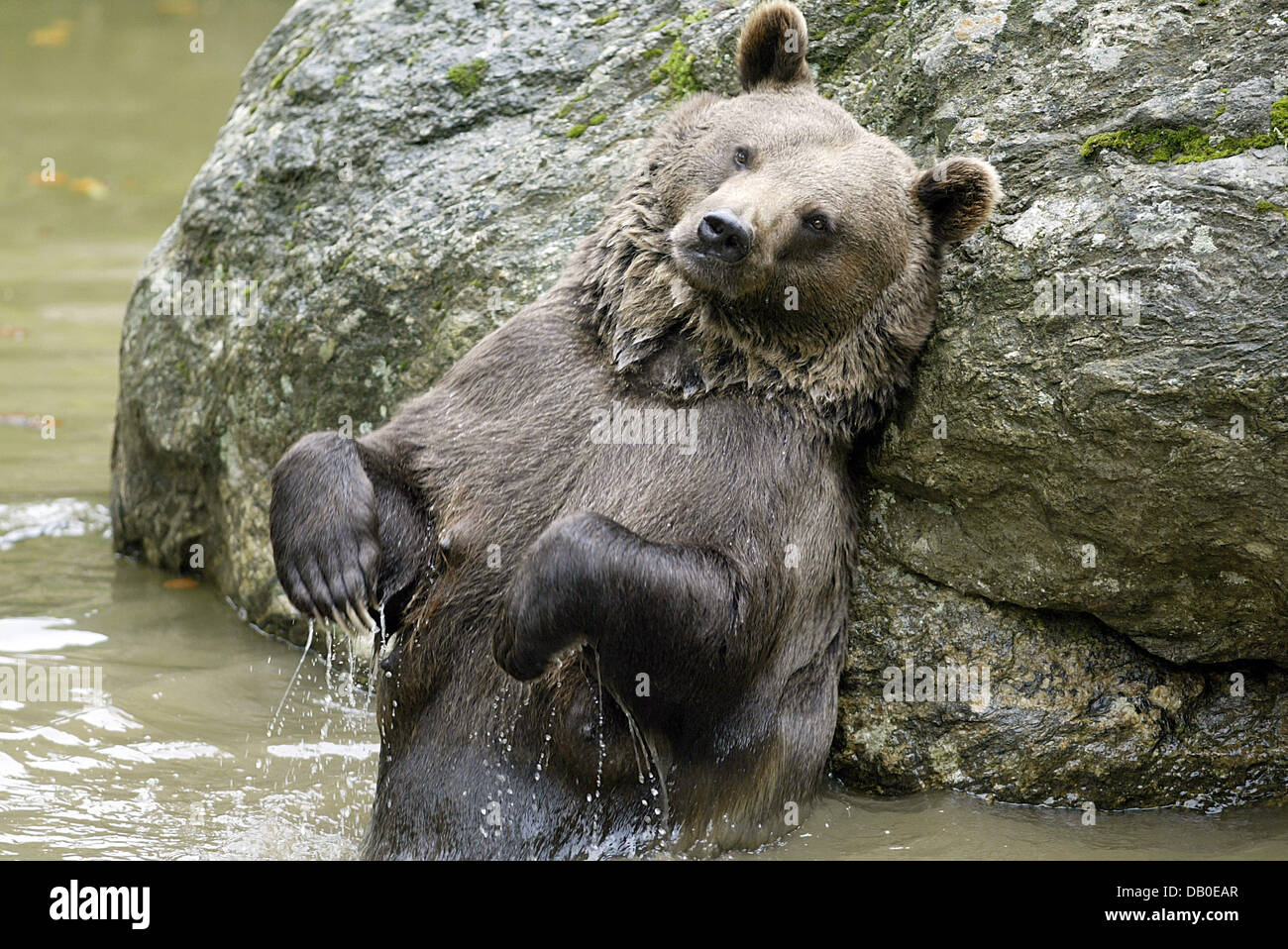 Back scrubbing hi-res stock photography and images - Alamy