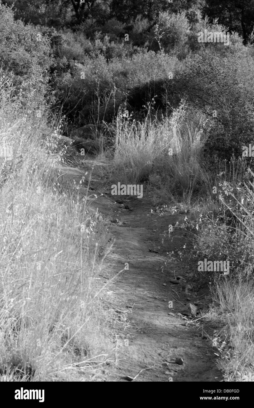 Alt people Black and White Stock Photos & Images - Alamy