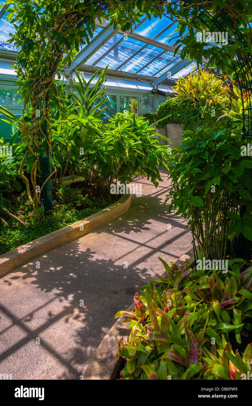 Plants and bushes inside the Howard Peters Rawlings Conservatory, in ...