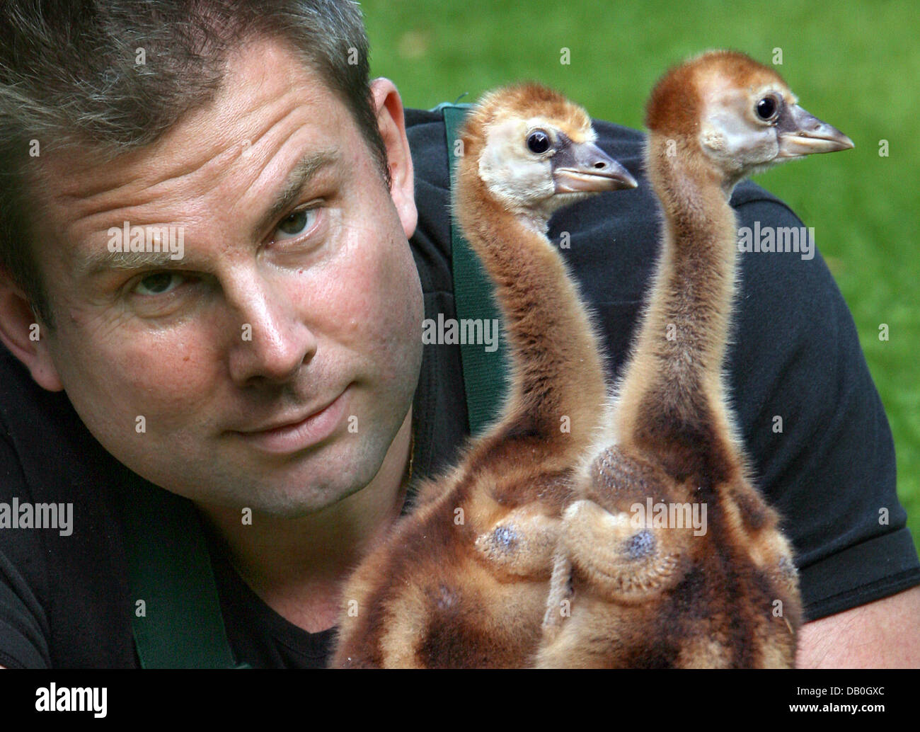 Foster father Yancy Rentz and two almost three week old black crowned ...
