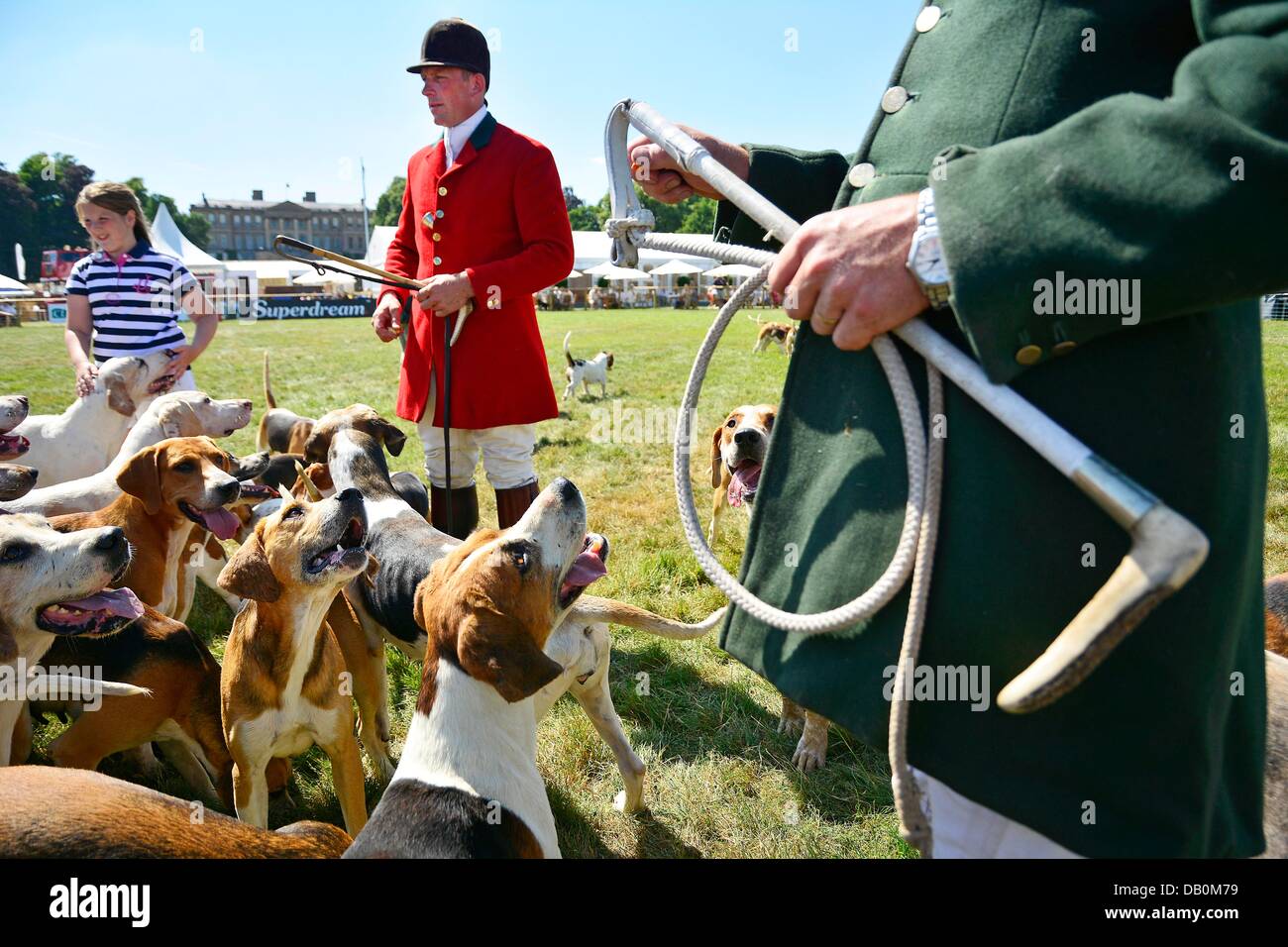 Game fair ragley hall hi-res stock photography and images - Alamy