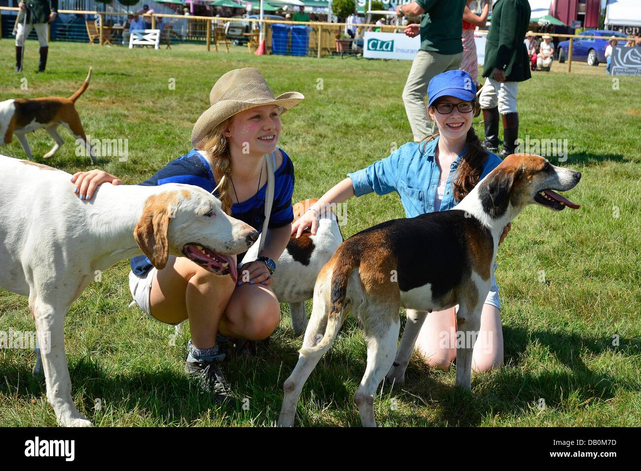 Game fair ragley hall hi-res stock photography and images - Alamy