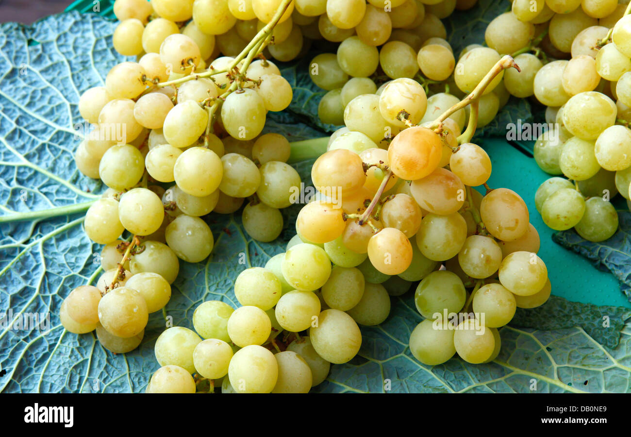 Green golden grapes at the French outdoor market Stock Photo - Alamy