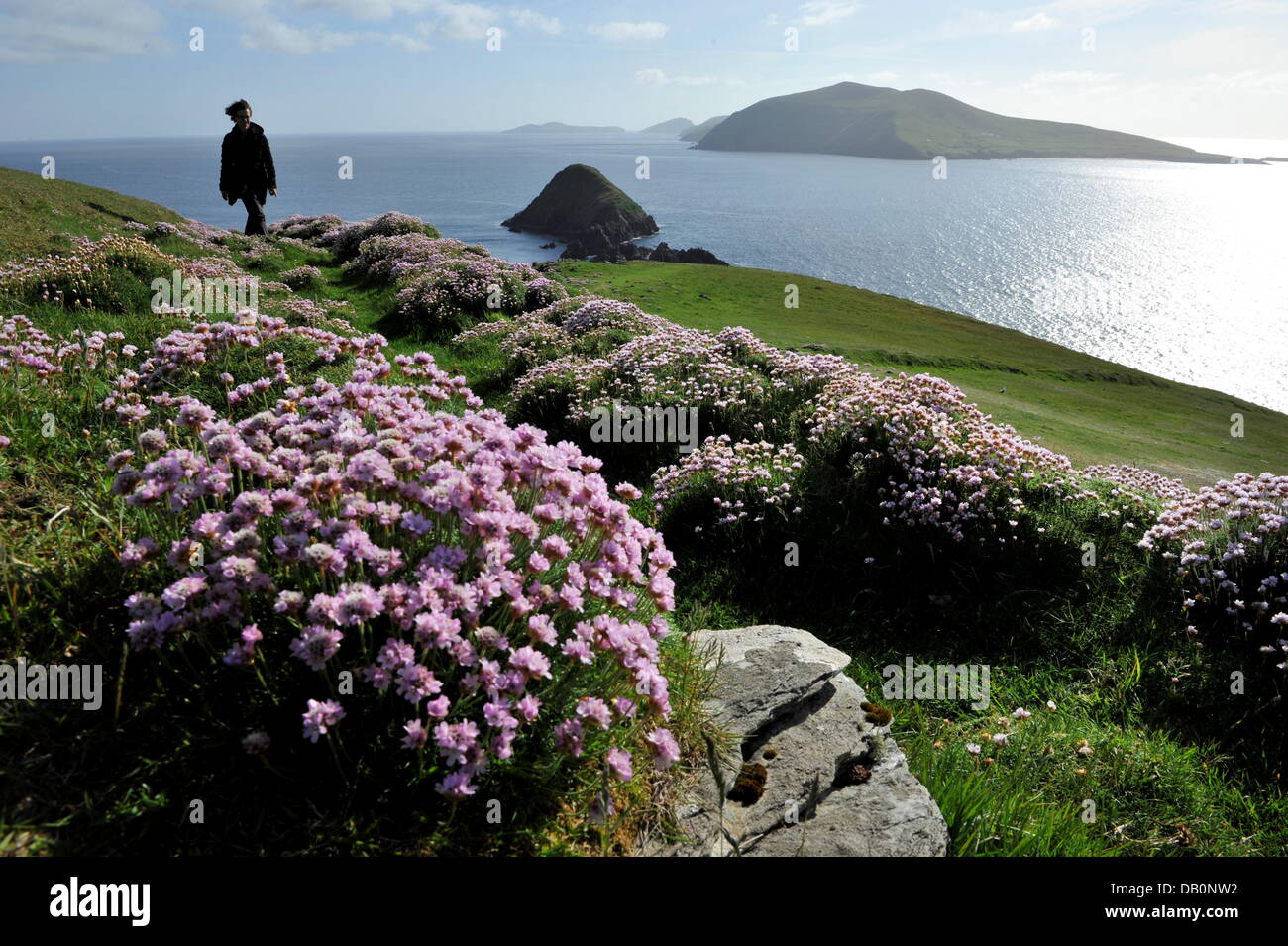 Dunmore head on the dingle peninsula hi-res stock photography and ...