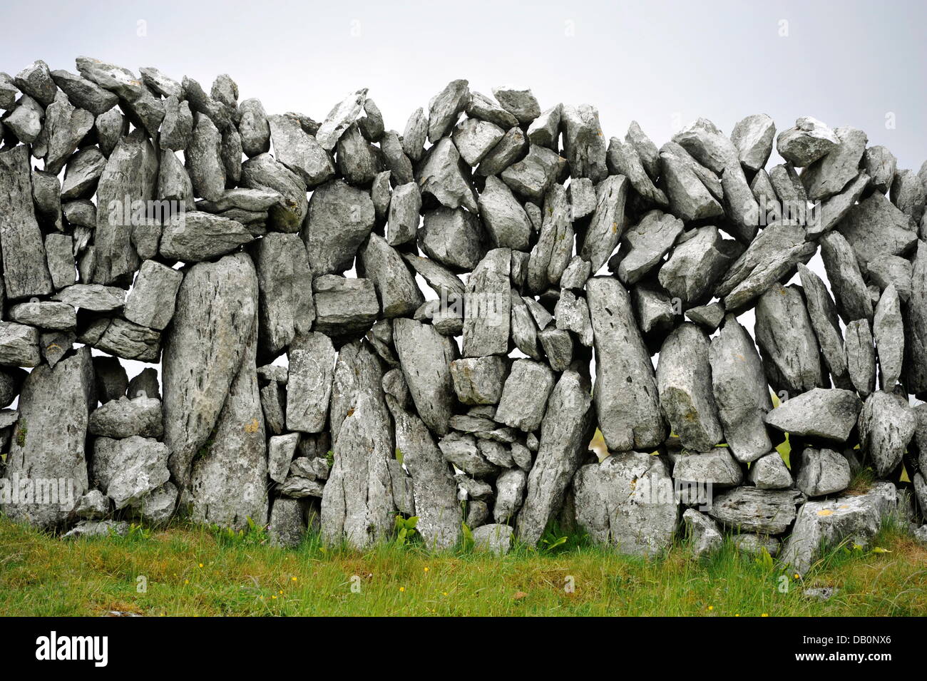 Stonewall in the karst landscape "The Burren" near Doolin on the ...