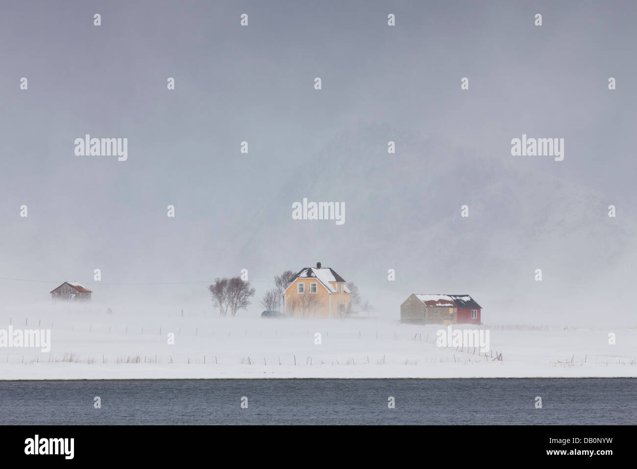 Isolated wooden cabin during snowstorm at Limstranden, Vestvågøy, in ...