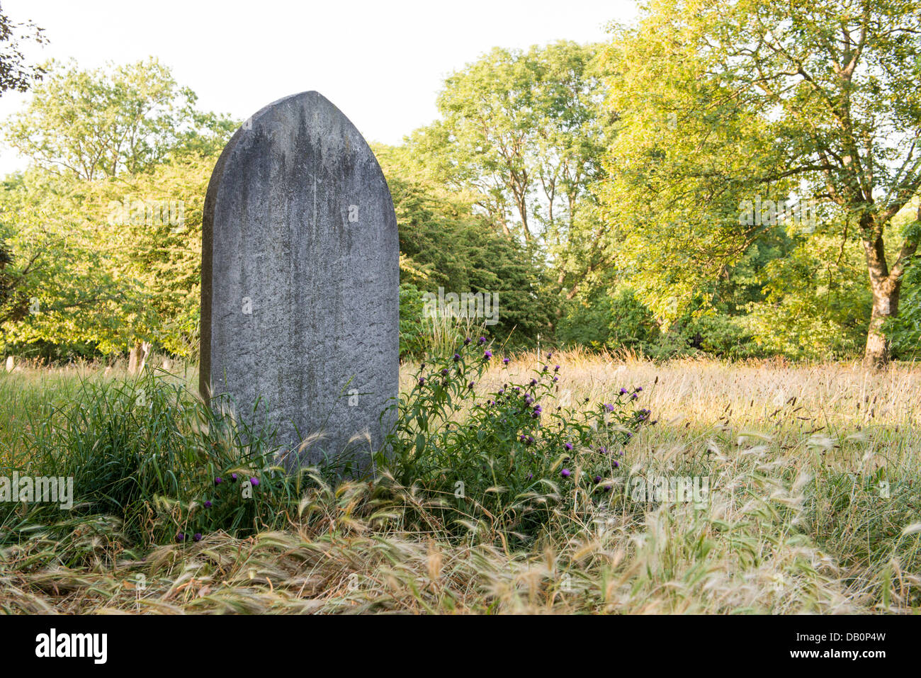 Tombstone Blank Grave Empty Stock Photos & Tombstone Blank Grave Empty ...
