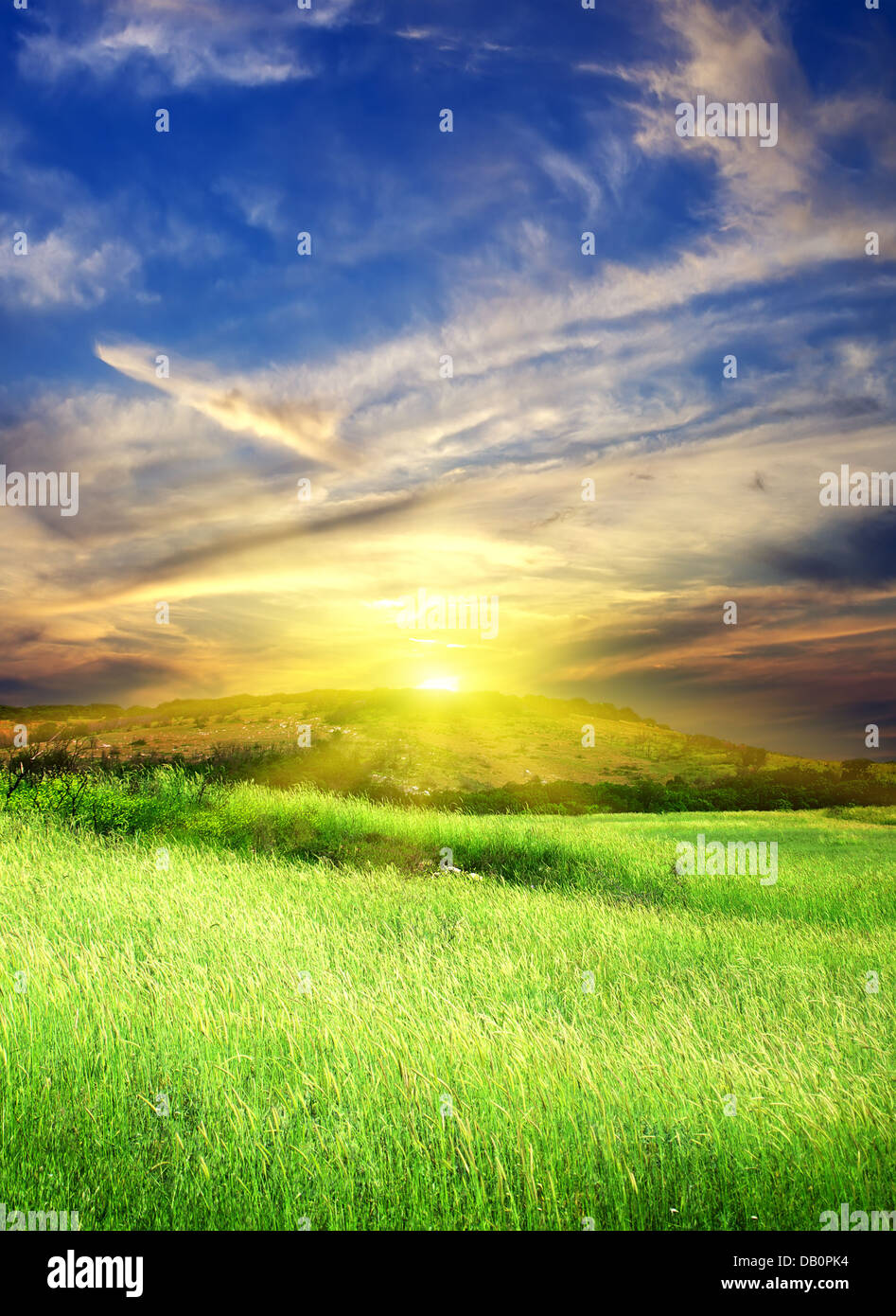 Grass and cloudy sky during sundown. Beautiful summer landscape Stock ...
