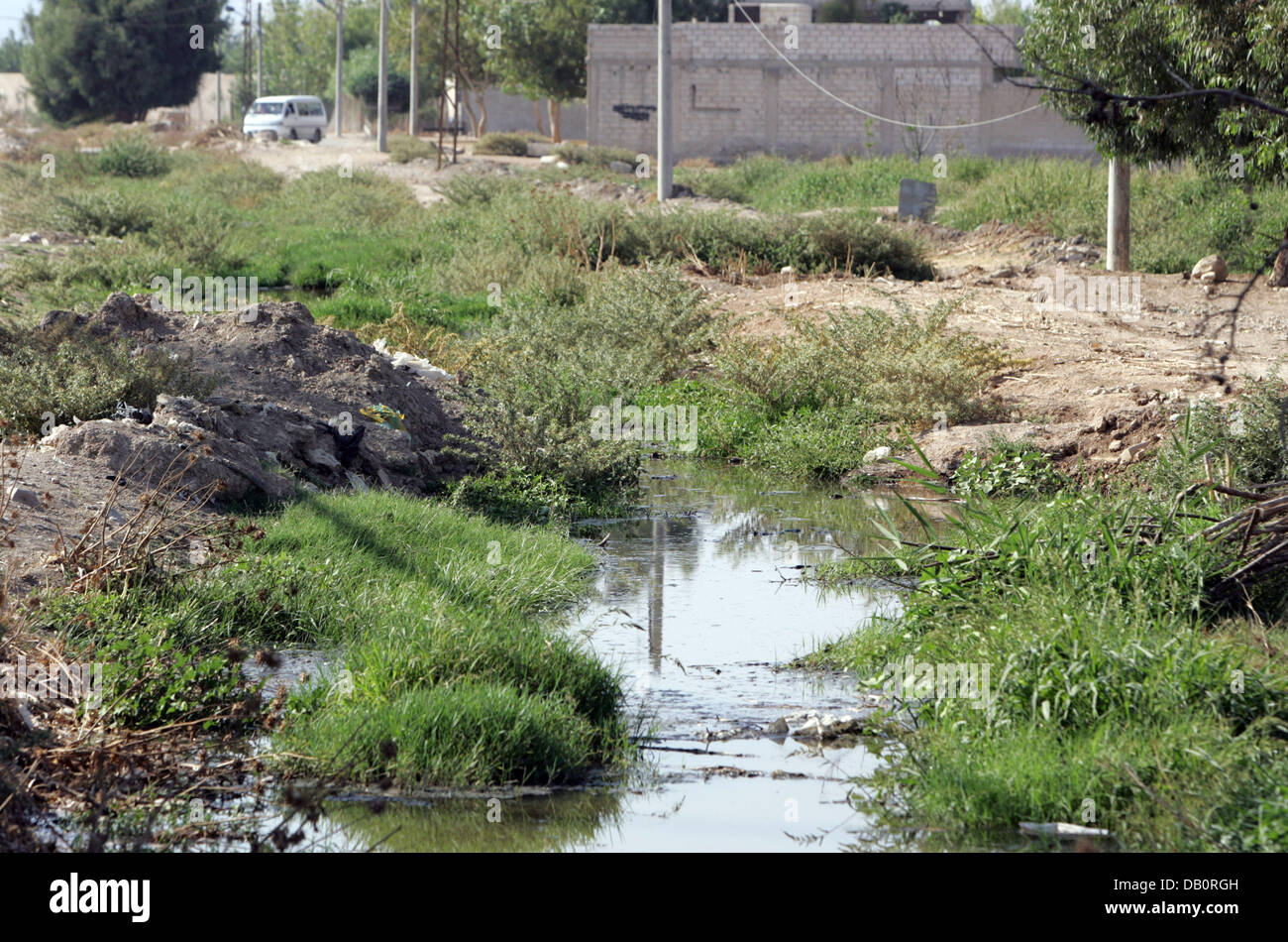 Contaminated water stands at a field near Damaskus, Syria, 29 August ...