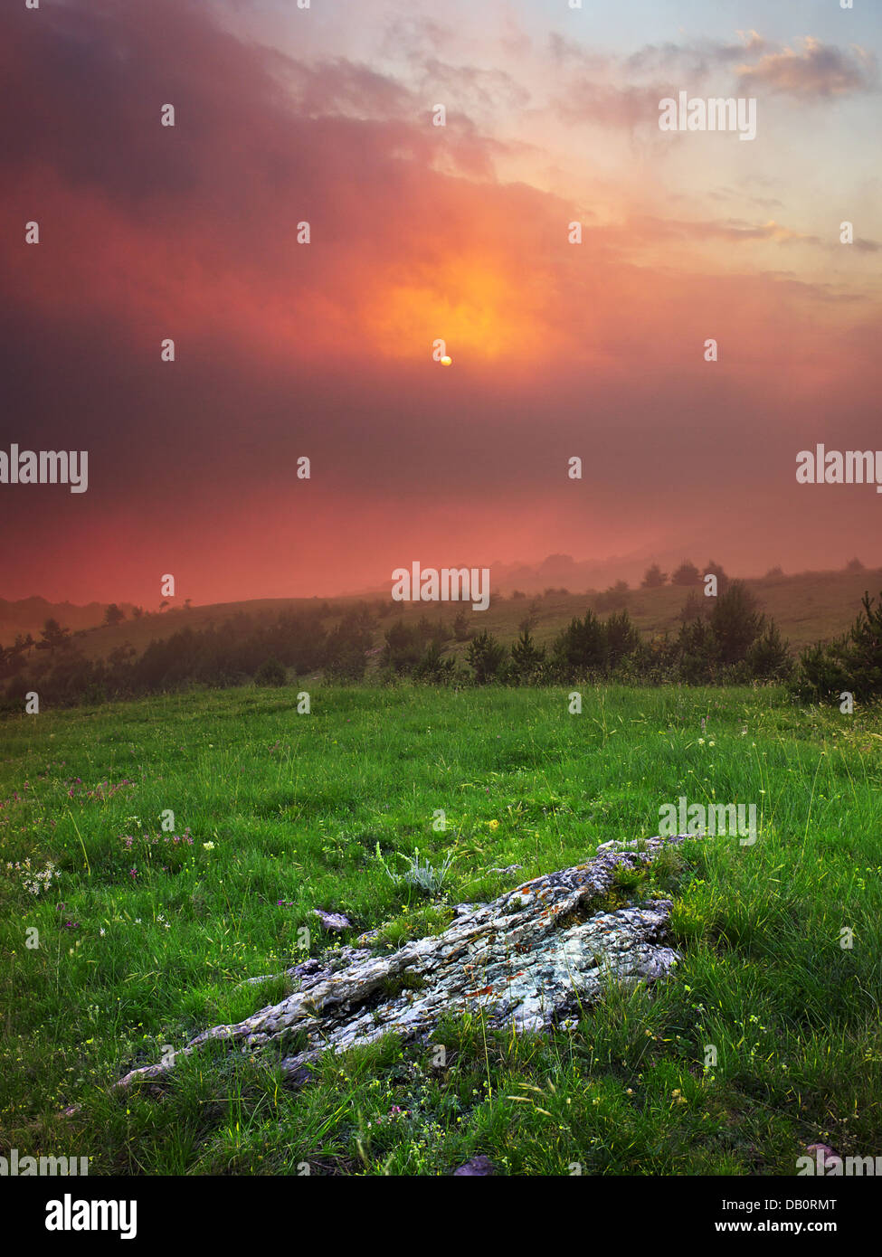 Grass and cloudy sky during sundown. Beautiful summer landscape Stock ...